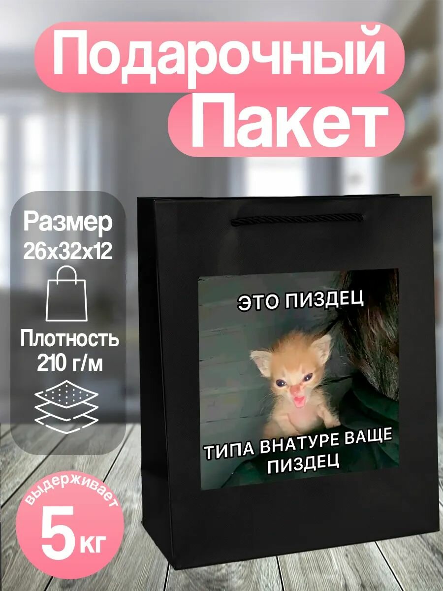 Пакет подарочный мем котики