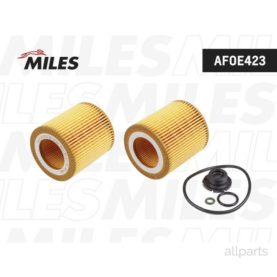 MILES AFOE423 Фильтр масляный BMW F20/F30 N20