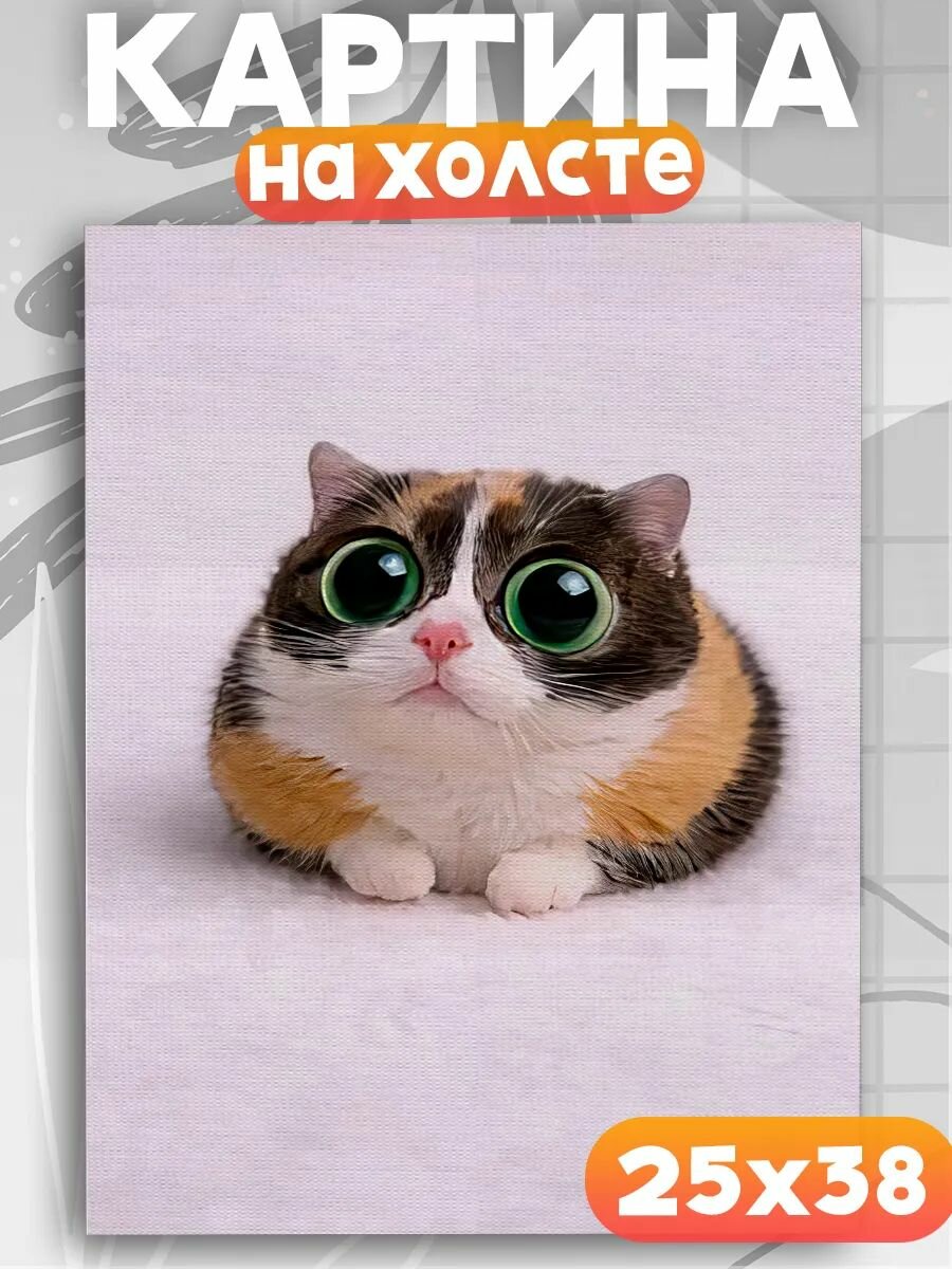 Картина на стену Котость мем Куки кот, на подрамнике, 1шт, 38х25 размер.