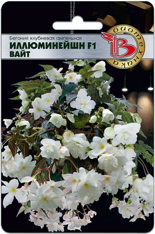 Семена бегонии БиоТехника Иллюминейшен Вайт, ампельная, 8 шт
