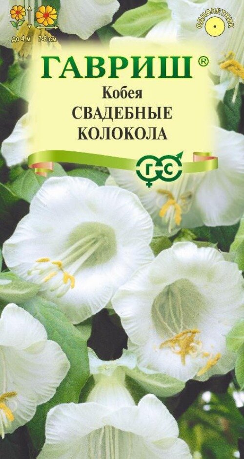 Семена кобеи Гавриш Свадебные колокола, колокольчатая, 5 шт 4601908