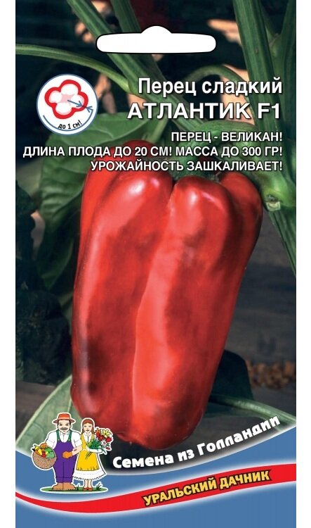 Семена перца Уральский дачник Атлантик F1, раннеспелый, гигантский, толстостенный, 12 шт