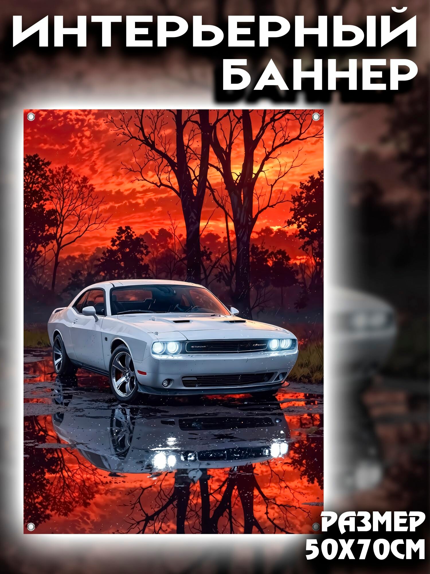 Баннер интерьерный на стену постер 50х70