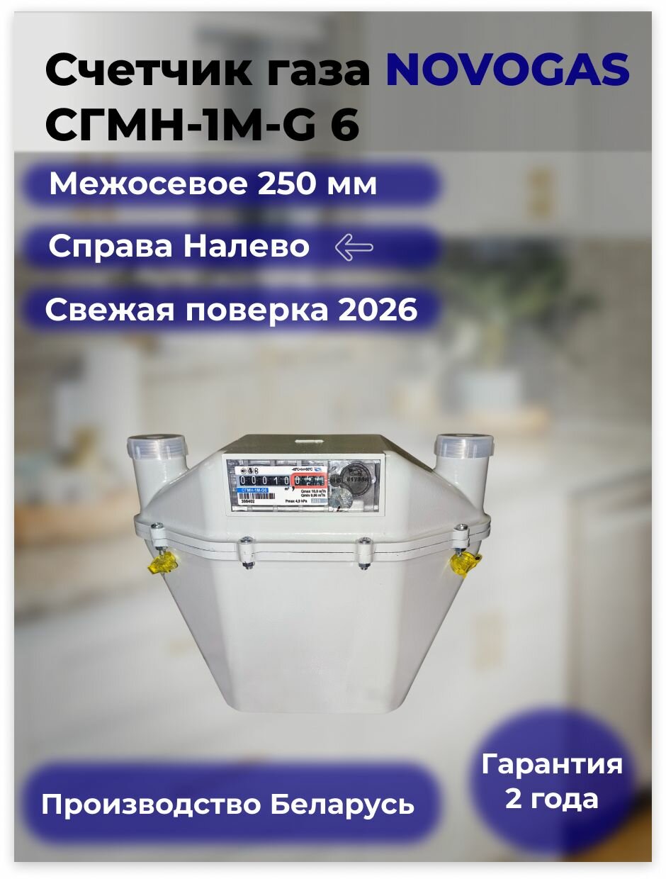 Счетчик газа NOVOGAS СГМН-1М-G 6 межосевое 250 мм, правый 1 1/4" справа налево