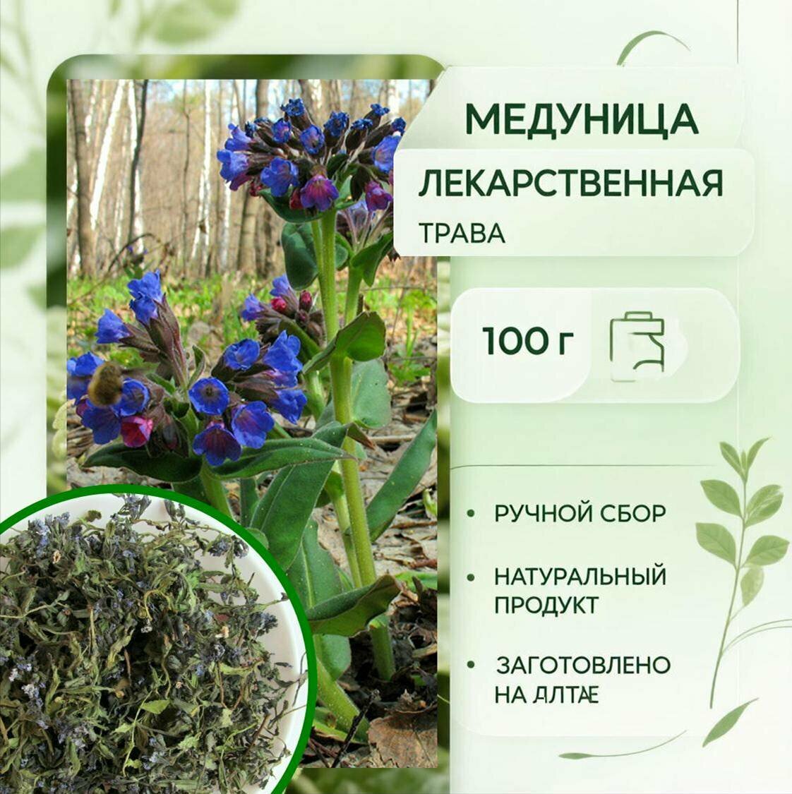 Медуница лекарственная, трава цельная с цветом, 100 г, АлтайМир