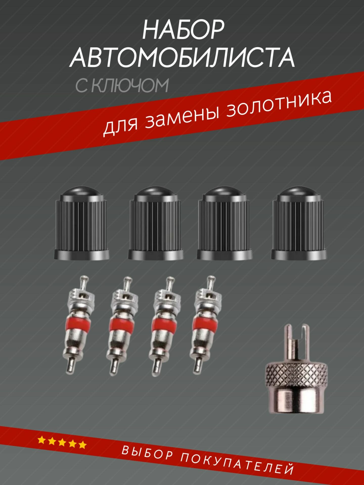 Ремкомплект для замены золотника, набор ниппелей с ключом, колпачки на вентиль авто, 9 предметов.