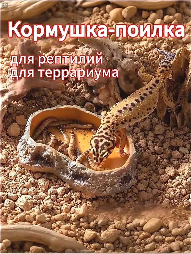 Кормушка-поилка для рептилий для террариума, черепаха, смола 9*6.2*2.3