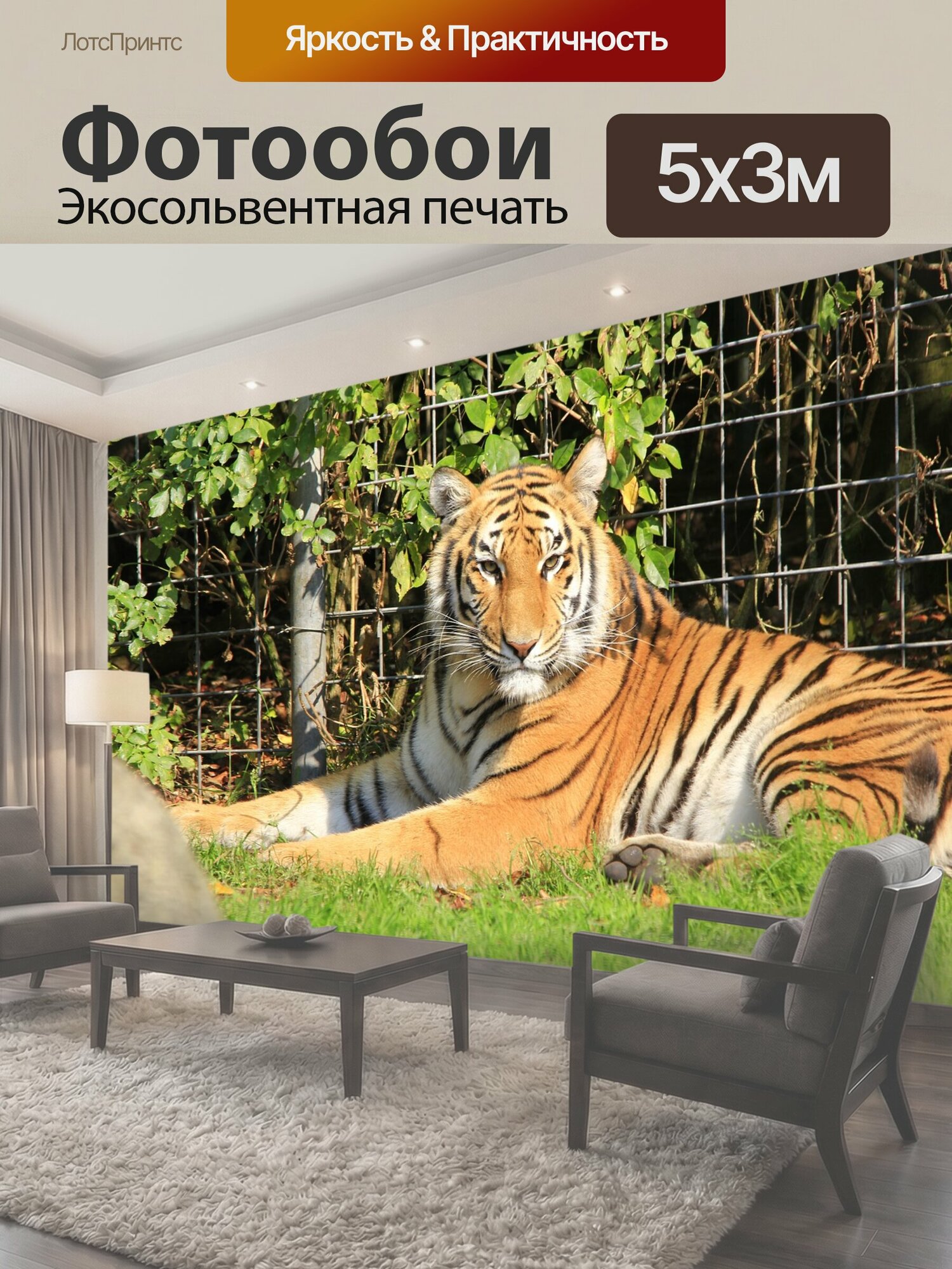 Фотообои "Тигр, голова, кот" 500x300 см. экосольвентная печать