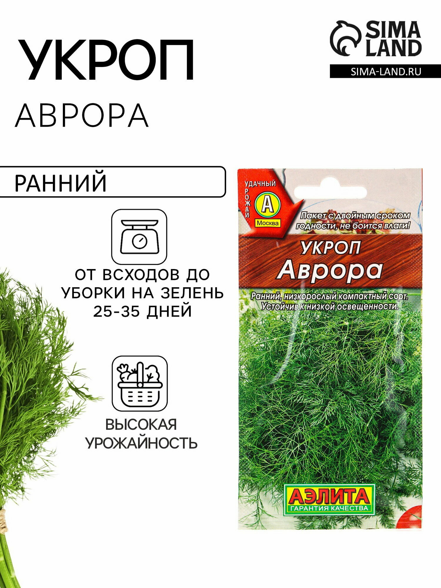 Семена Укроп "Аврора" 3 г, посев (посадка) в грунт: апрель, применение: душистые (на зелень, в салаты, в блюда)