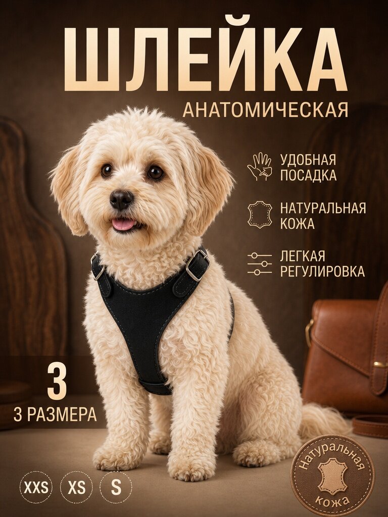 Шлейка для собак и кошек мелких пород до 6кг из натуральной замши, цвет Черный размер L