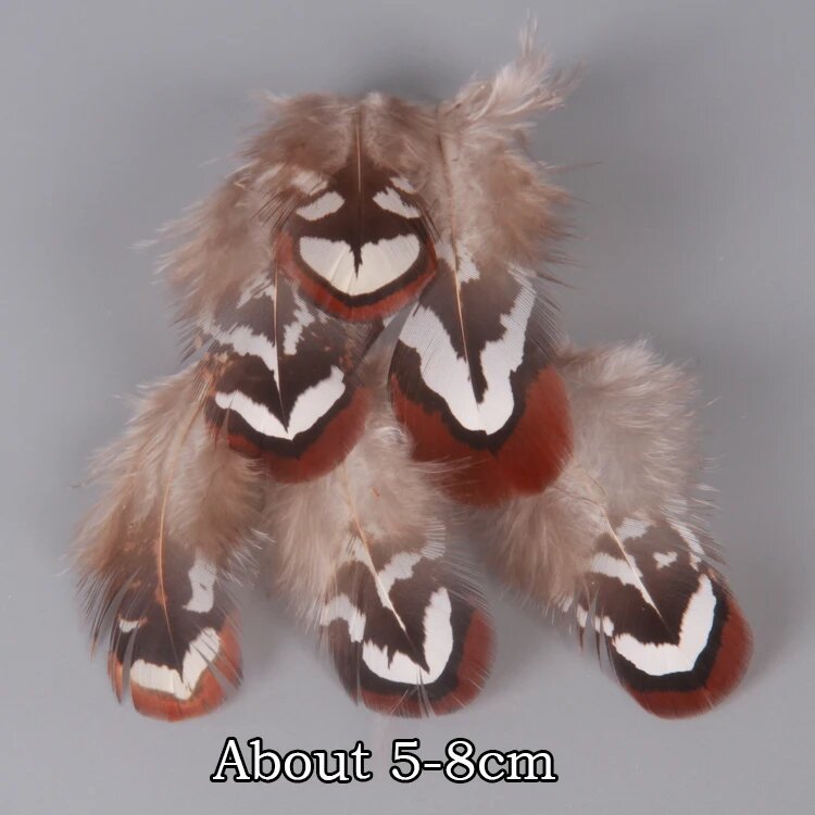 Натуральные перья фазана, павлина, орла, 20 шт Коричневый, Pheasant Feather
