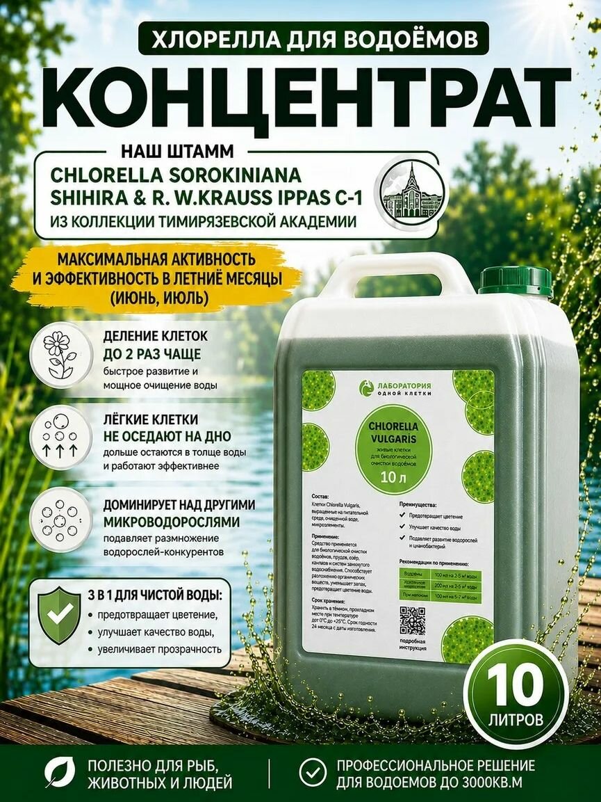 Хлорелла для пруда 10 л.(для обработки водоёмов до 3000м2.) Биопрепарат против цветения воды безопасно для рыб Лаборатория одной
