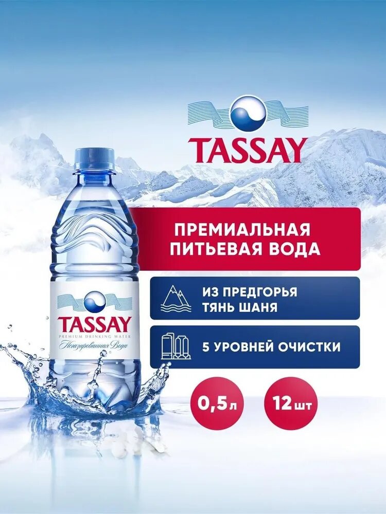 Вода негазированная Tassay природная, 12 шт х 0,5 л