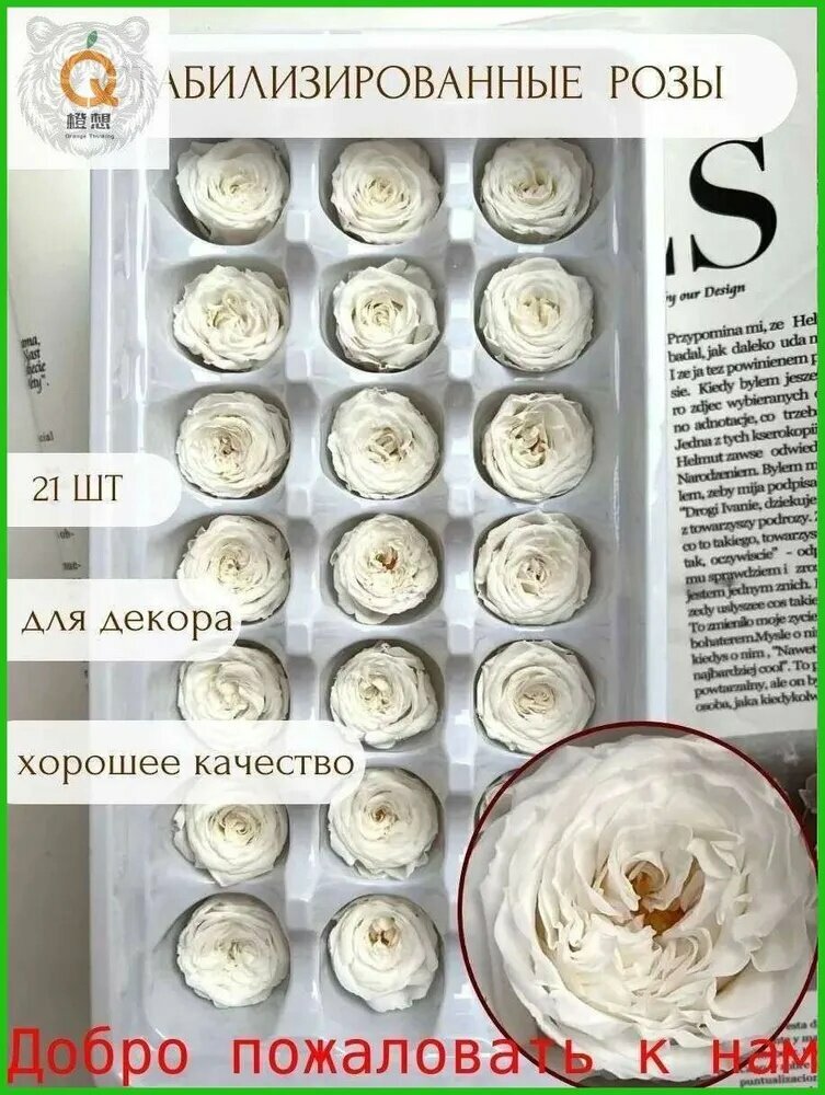 Стабилизированные цветы Роза, 21 шт