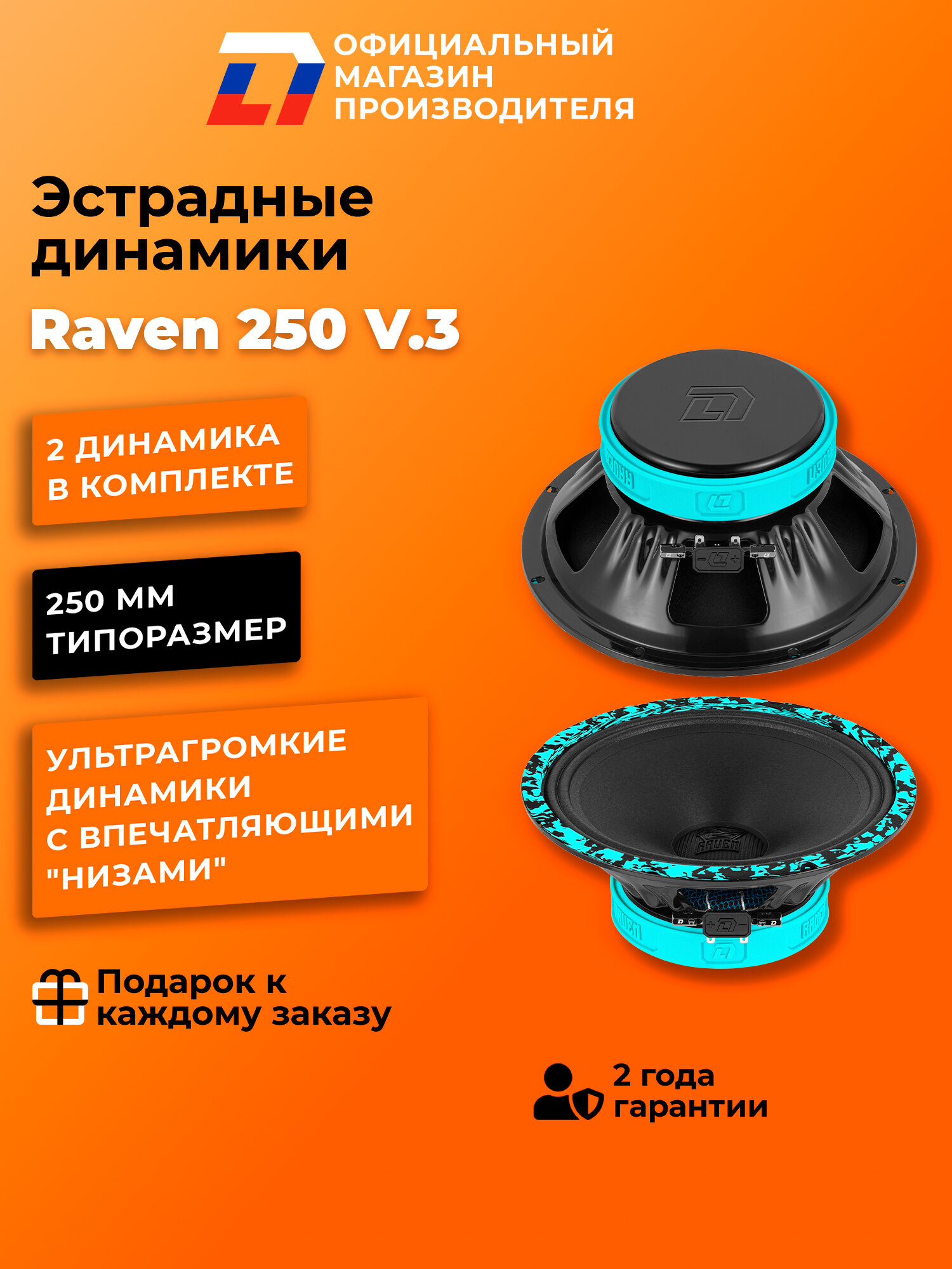 Динамики автомобильные 25 см DL Audio Raven 250 V.3 пара 360Вт