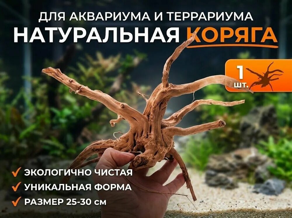 Натуральная коряга для аквариума и террариума (корень азалии), декор для акваскейпинга, 25-30 см