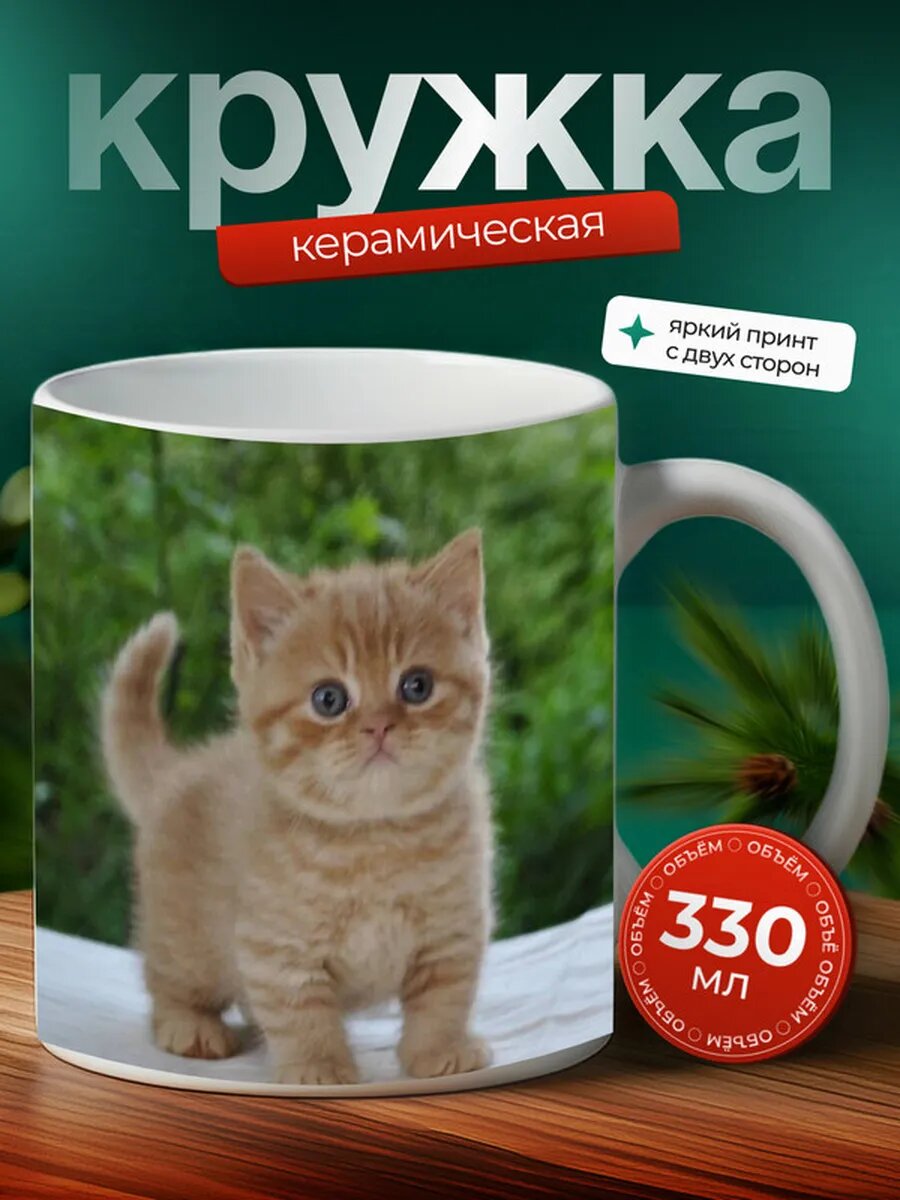 Кружка Американский бобтейл короткошерстный кот 43,