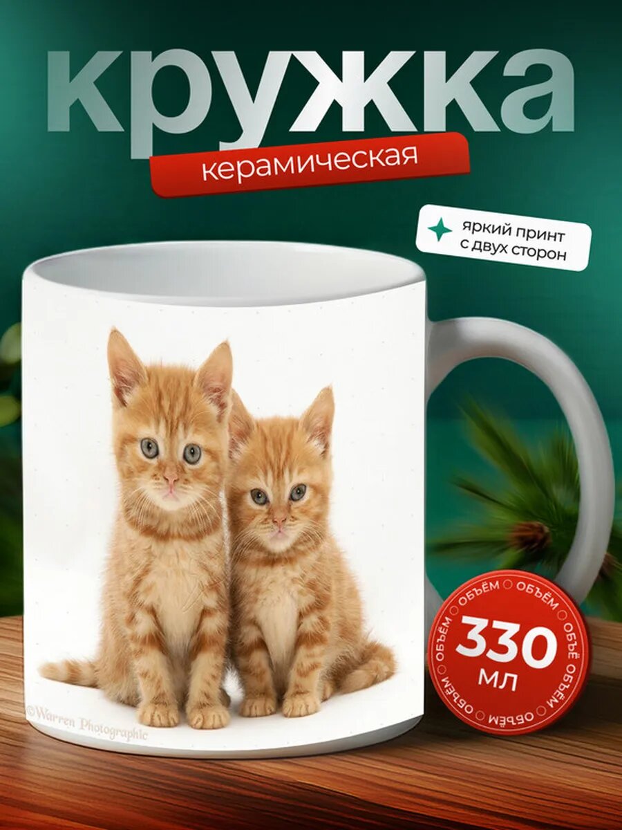 Кружка Британский серебристый кот 40,