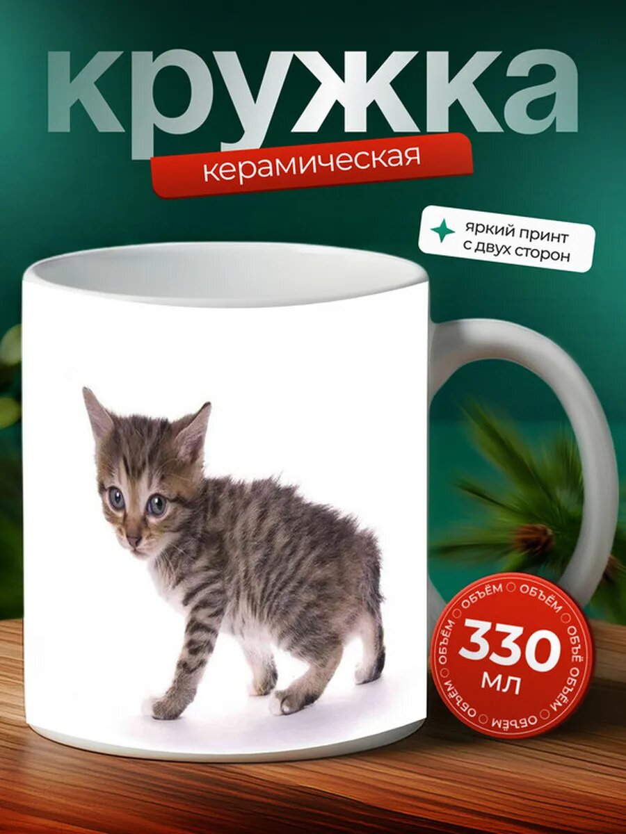 Кружка Американский бобтейл короткошерстный кот 36,