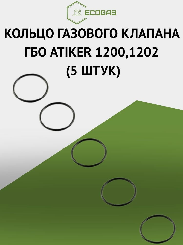 Кольцо газового клапана ГБО ATIKER 1200,1202 (5 штук)