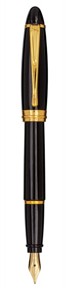 Перьевая ручка Aurora Ipsilon Resin Black GT, перо F, в подарочной коробке B11-NF