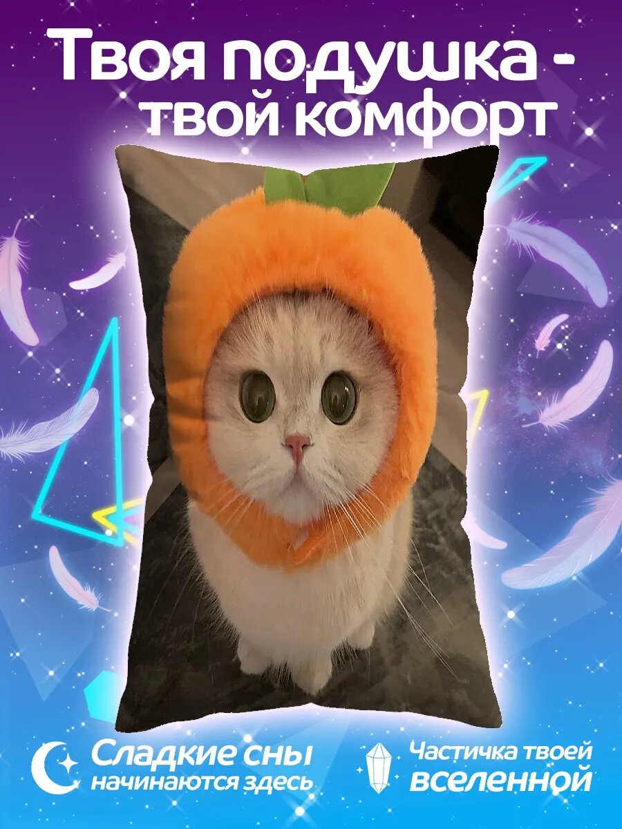 Подушка дакимакура Кот в шапке
