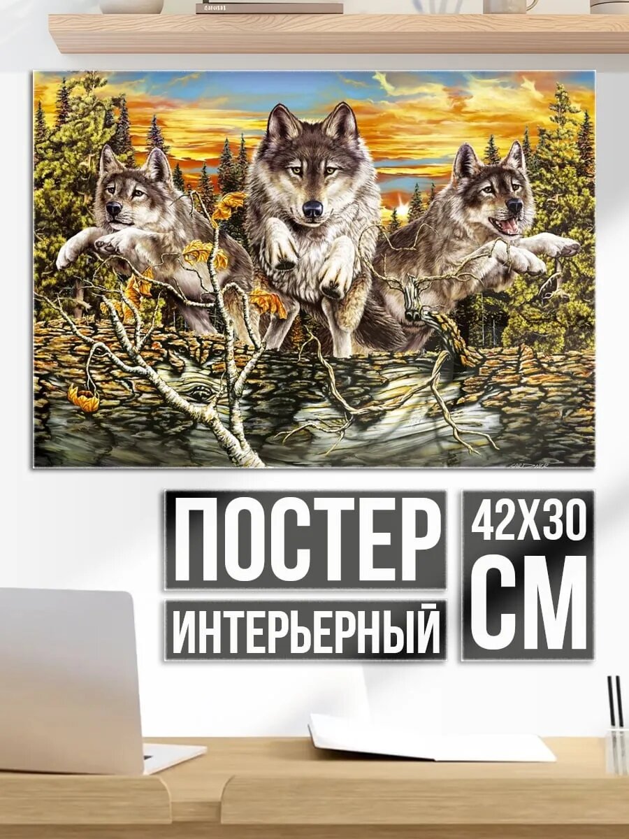 Плакат постер Три волка в лесу