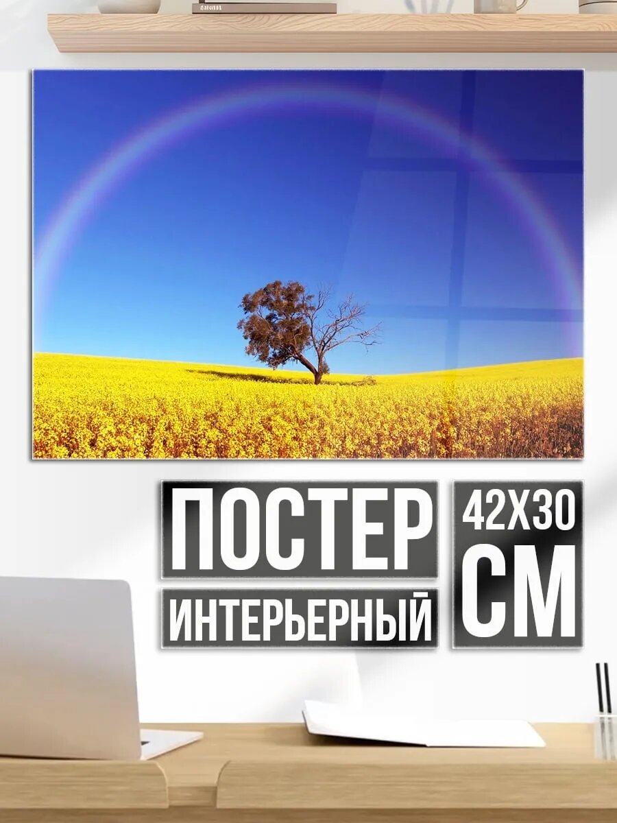 Плакат постер одинокое дерево радуга