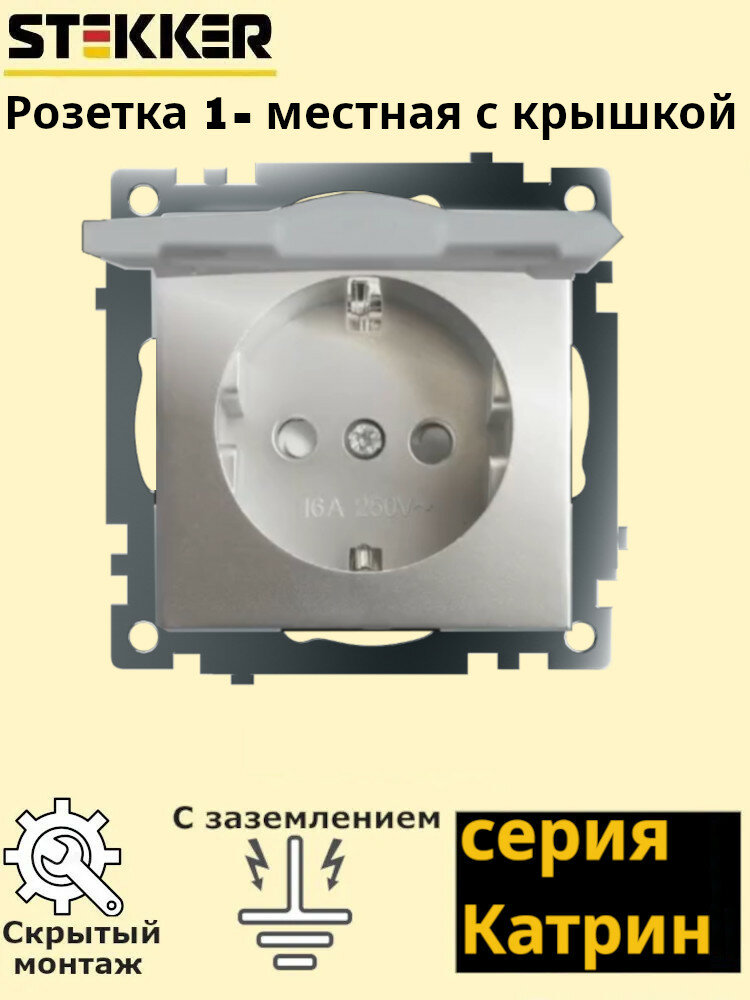 Розетка электрическая одноместная заземление с крышкой серия Катрин, GLS16-7112-03, серебро (без рамки), STEKKER 39580