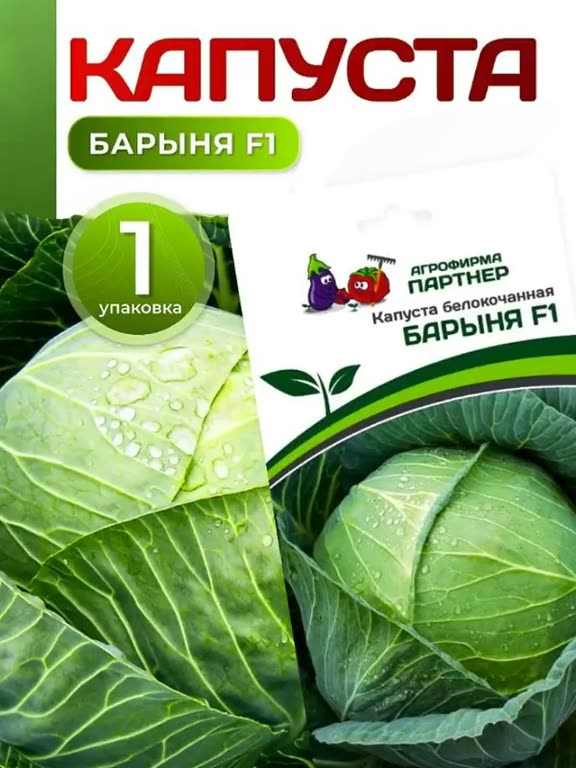 Капуста Барыня — фото 1