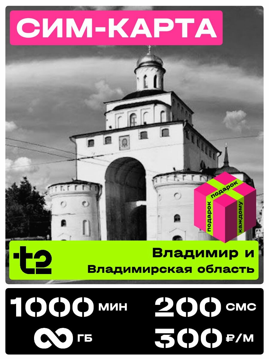 Сим карта теле 2 с безлимитным интернетом. t2 SIM-карта тариф Партнер М Владимирская область. 1000 минут за 300 рублей в месяц.