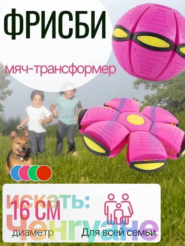 Фрисби