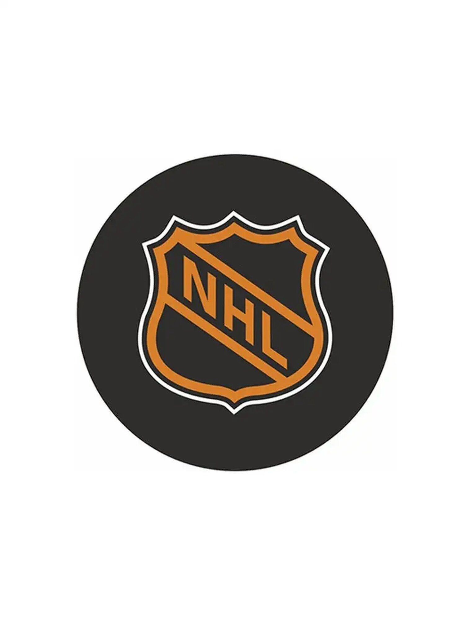 Шайба Sportfanat NHL, резина, диаметр 76 мм, 170 гр, цвет черный