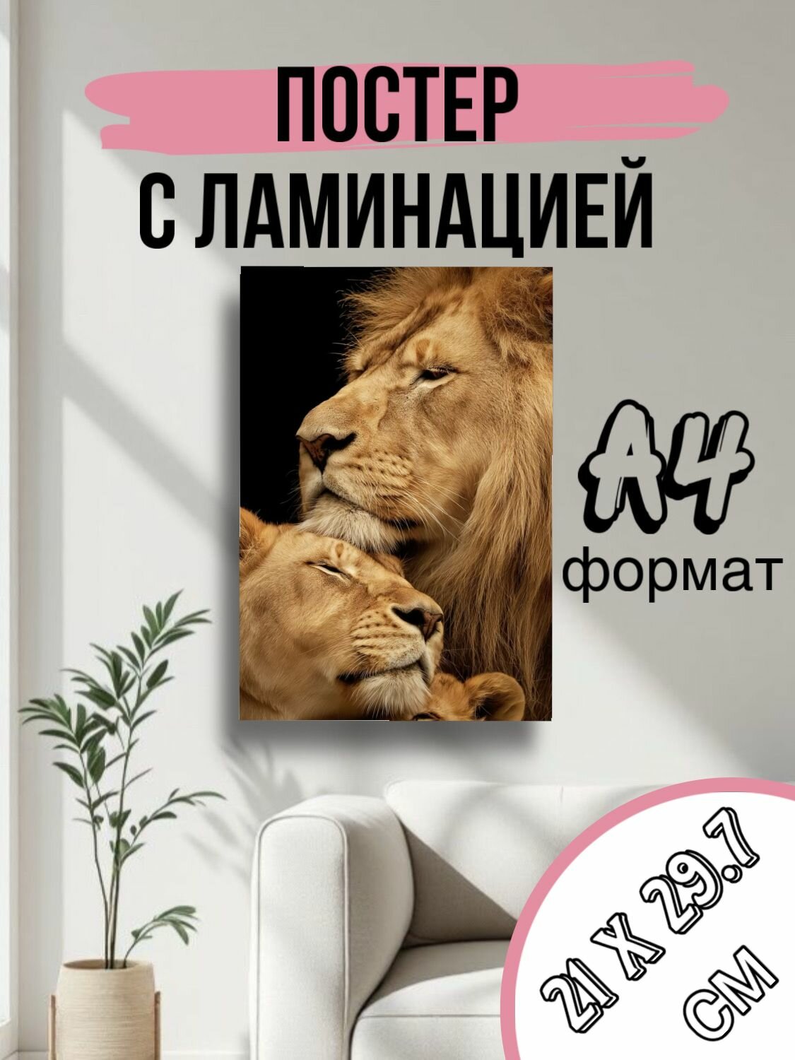 Постер