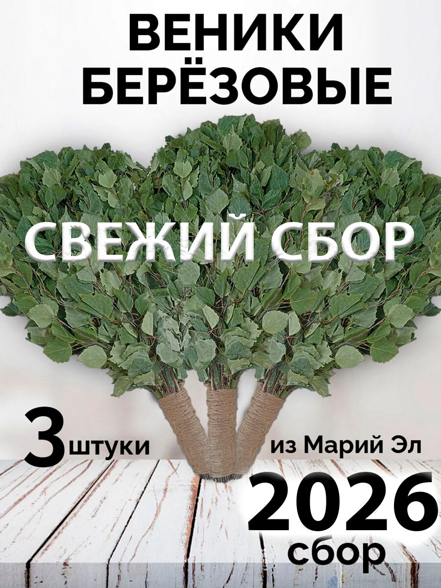 Веники для бани берёзовые из Марий Эл отборные с ручкой из джута 3 штуки в коробке 2026