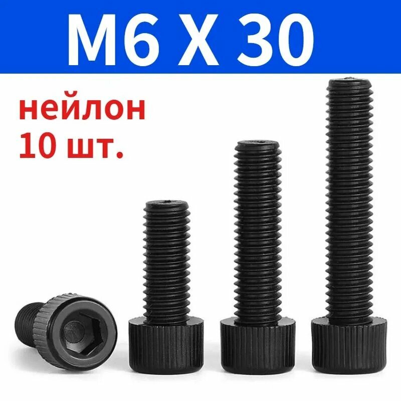 Винт M6 x 6 x 30 мм, головка: Цилиндрическая, 10 шт.