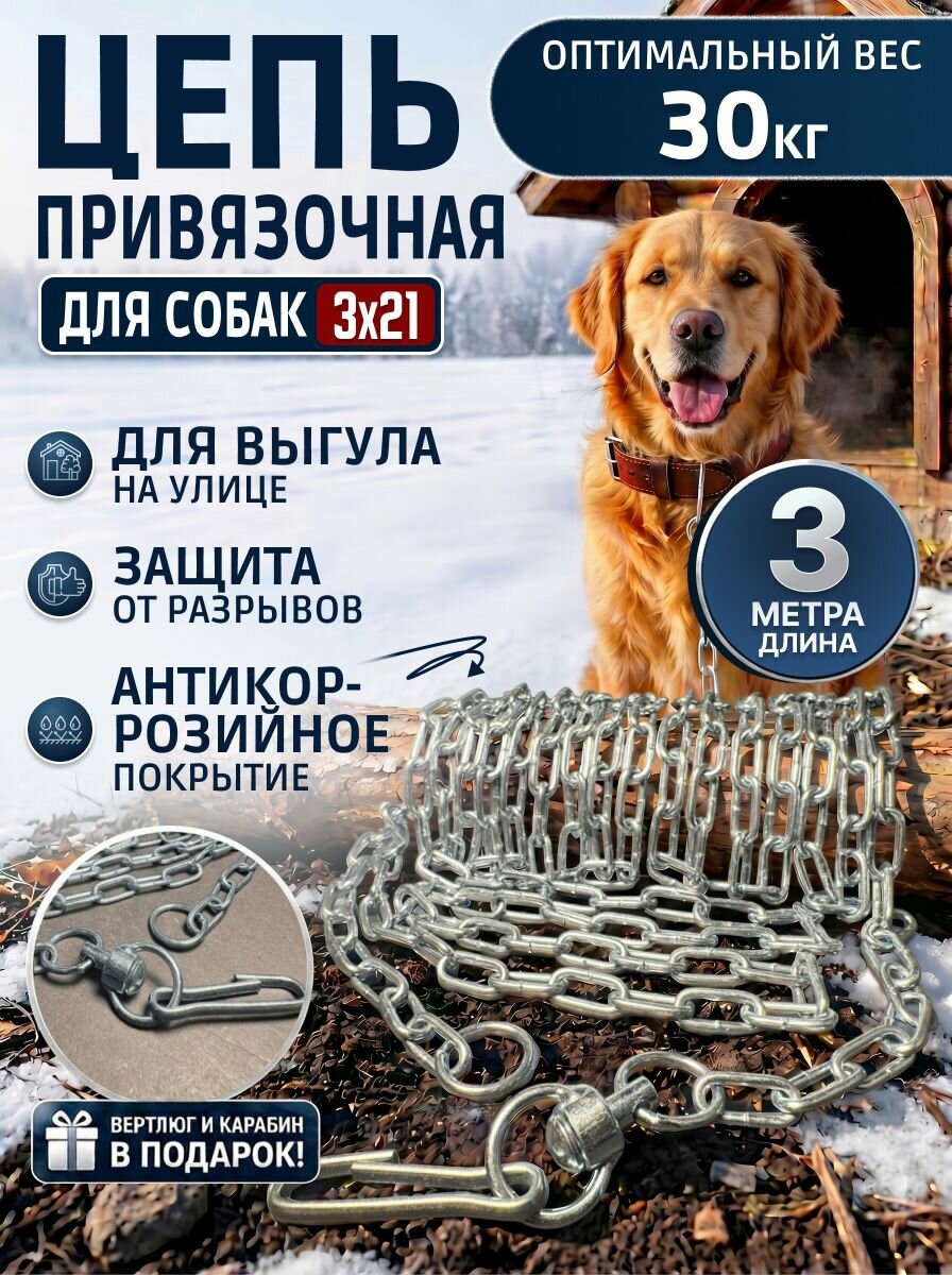 Цепь для собак привязочная, с карабином, для мелких пород, с вертлюгом, 3 метра белая 3х21