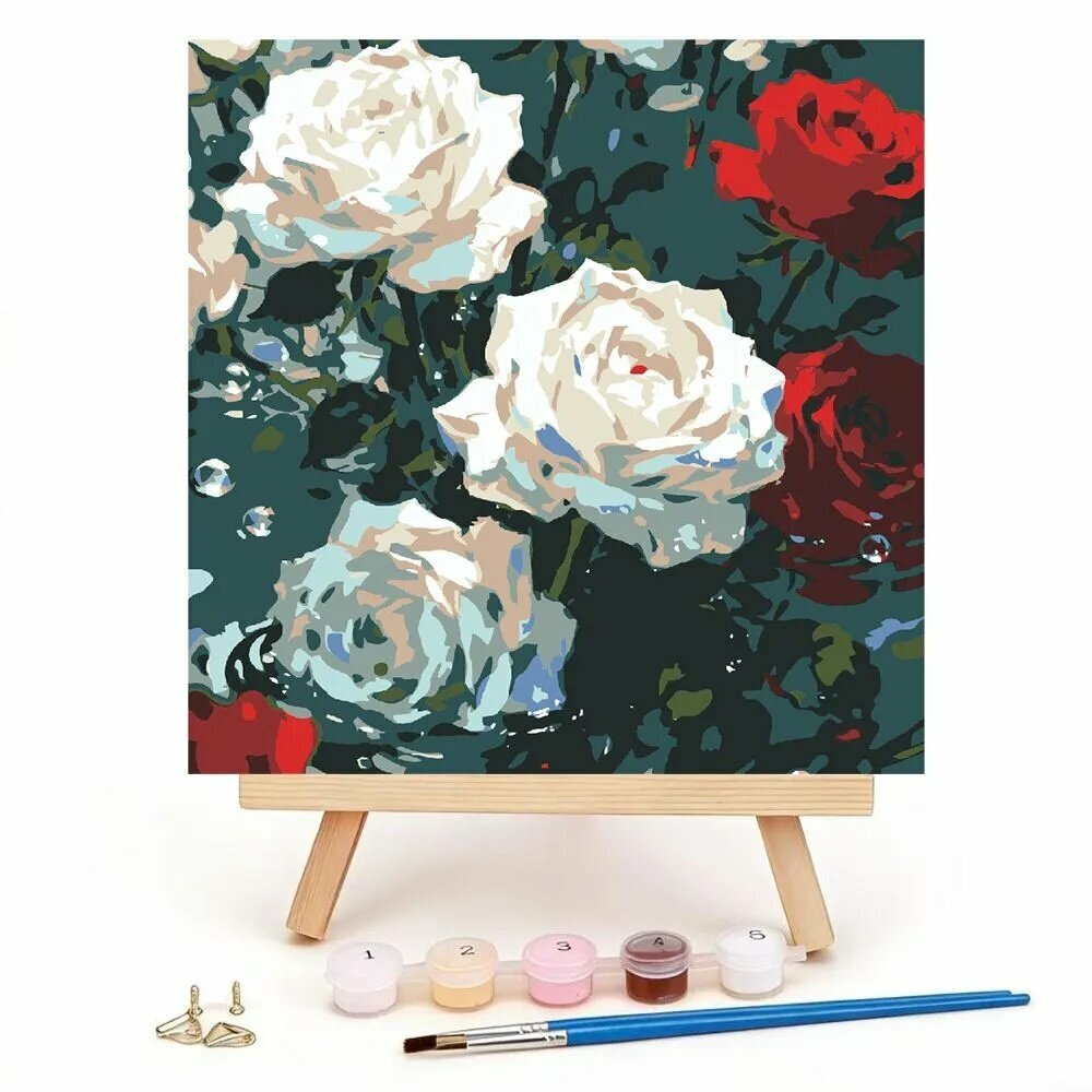 Картина по номерам на холсте с подрамником 20*20CM