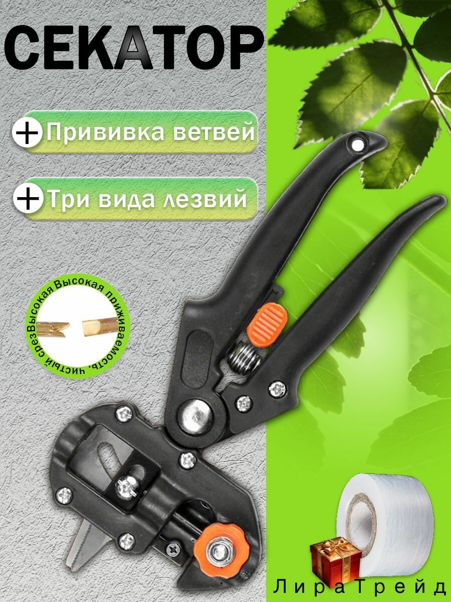 Секатор