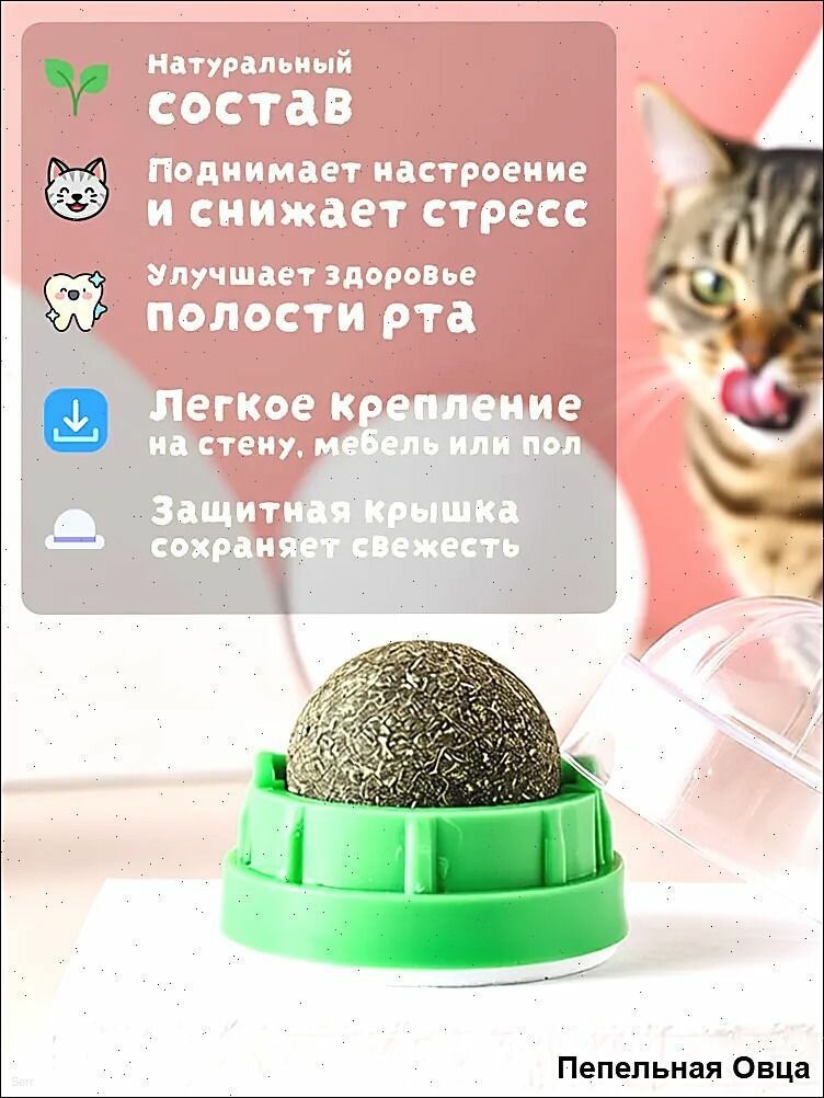 Шарик с кошачьей мятой игрушка для кошек вращающаяся, крепится на стену, 1 шт
