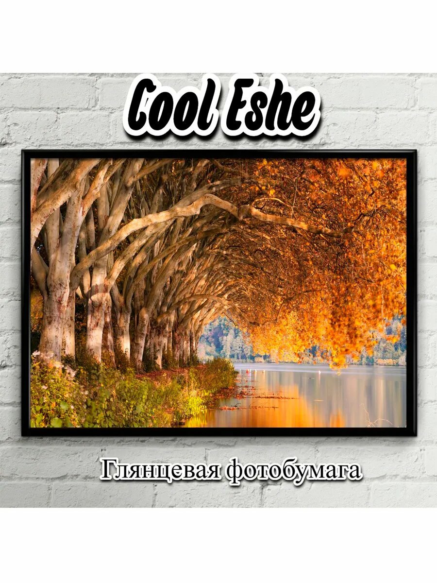 Плакат "autumn trees park осенний пейзаж" А2