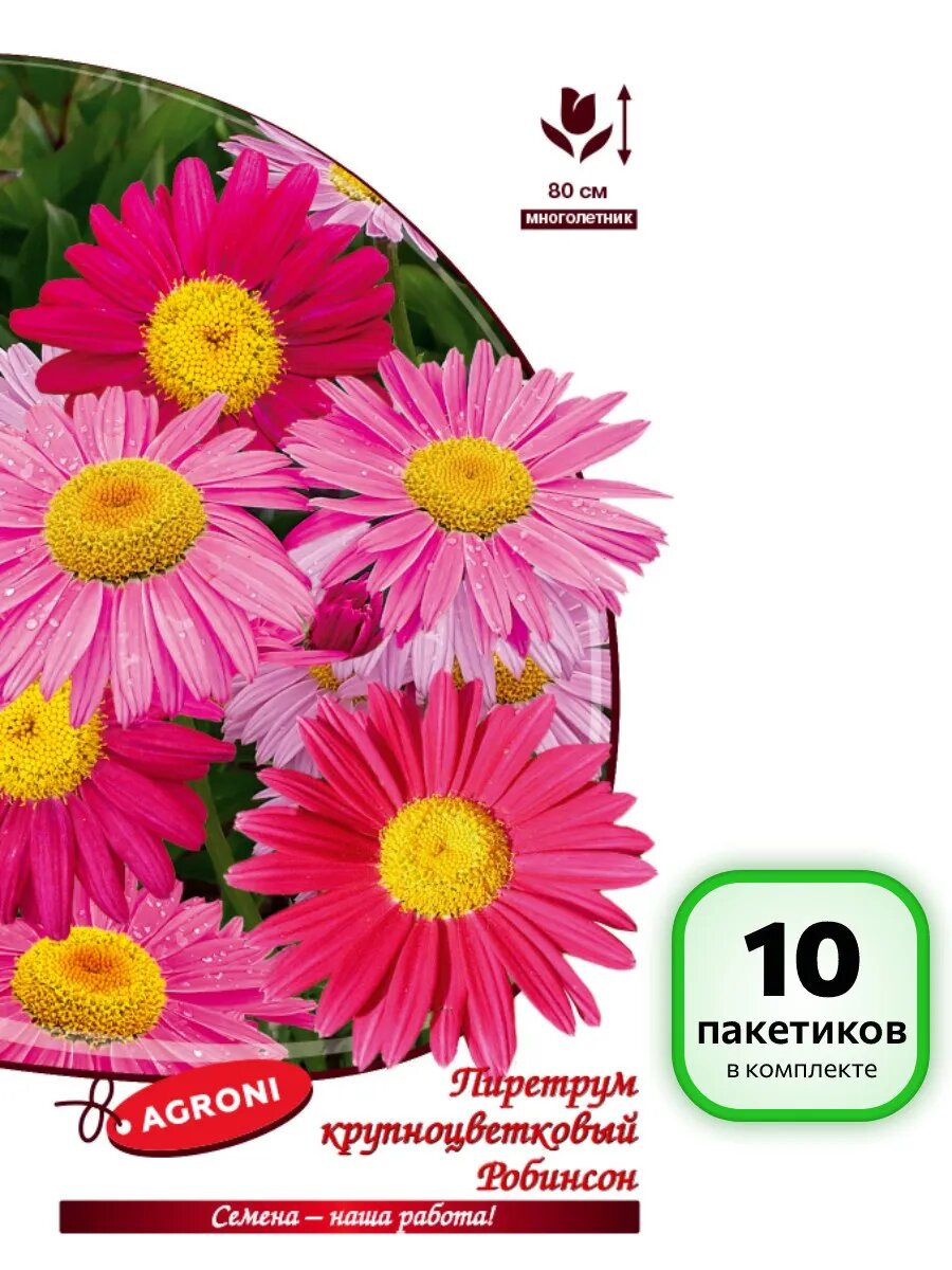 (10 шт.) - Семена Пиретрум крупноцветковый Робинсон (0,1г)