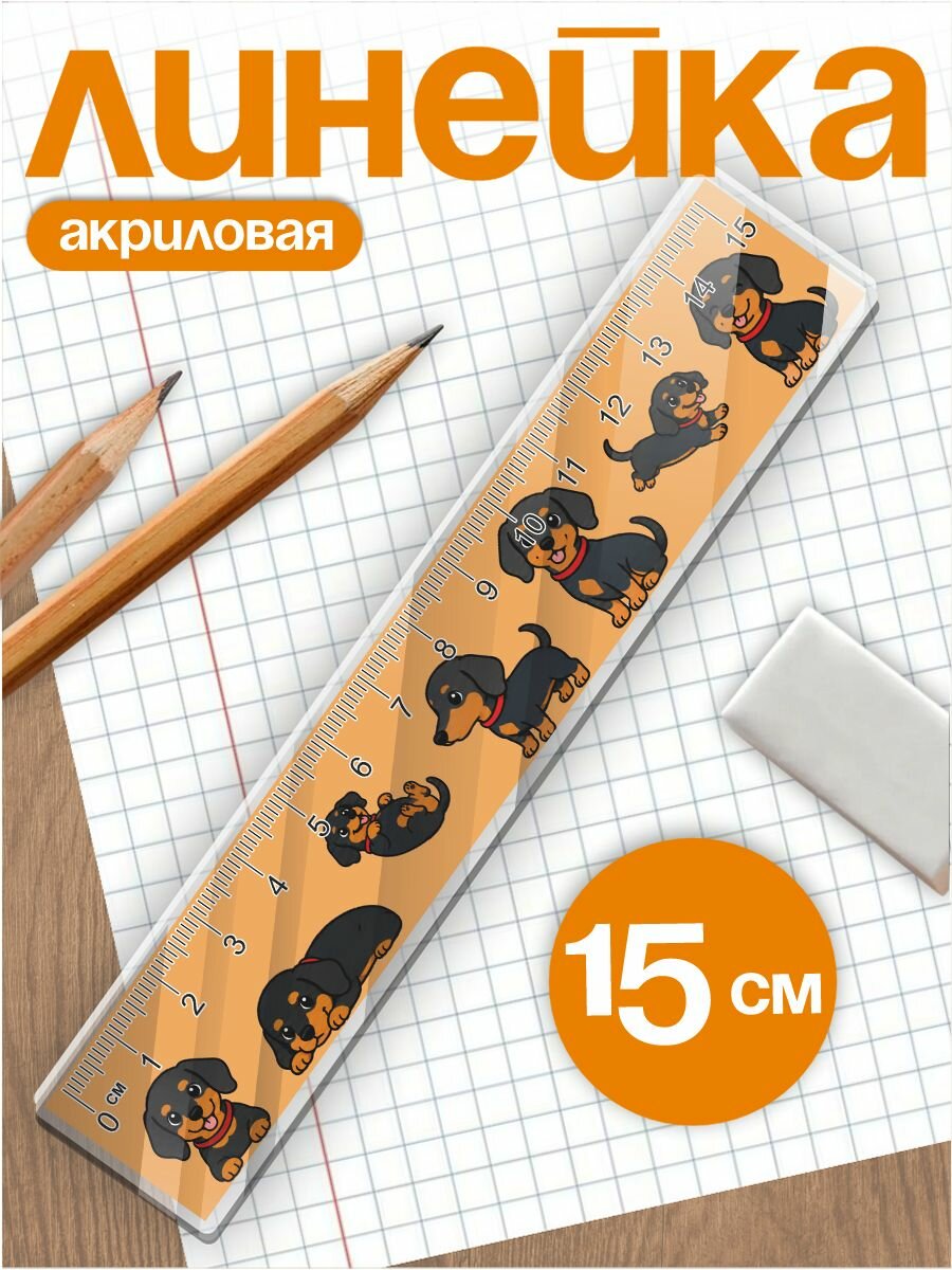 Канцелярия для школы линейка 15 см Милые собачки Такса