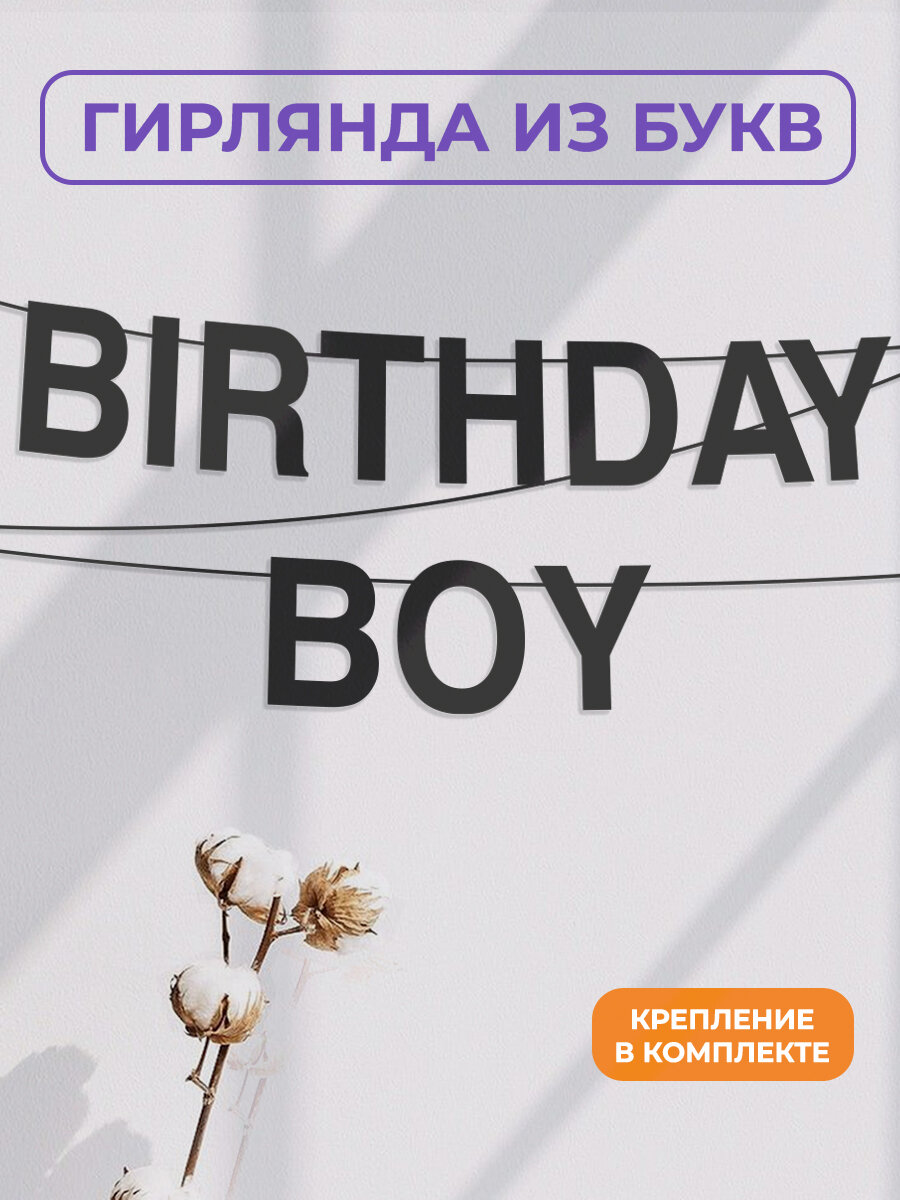Бумажная гирлянда на стену, интерьерная - “Birthday Boy“, гирлянда буквенная