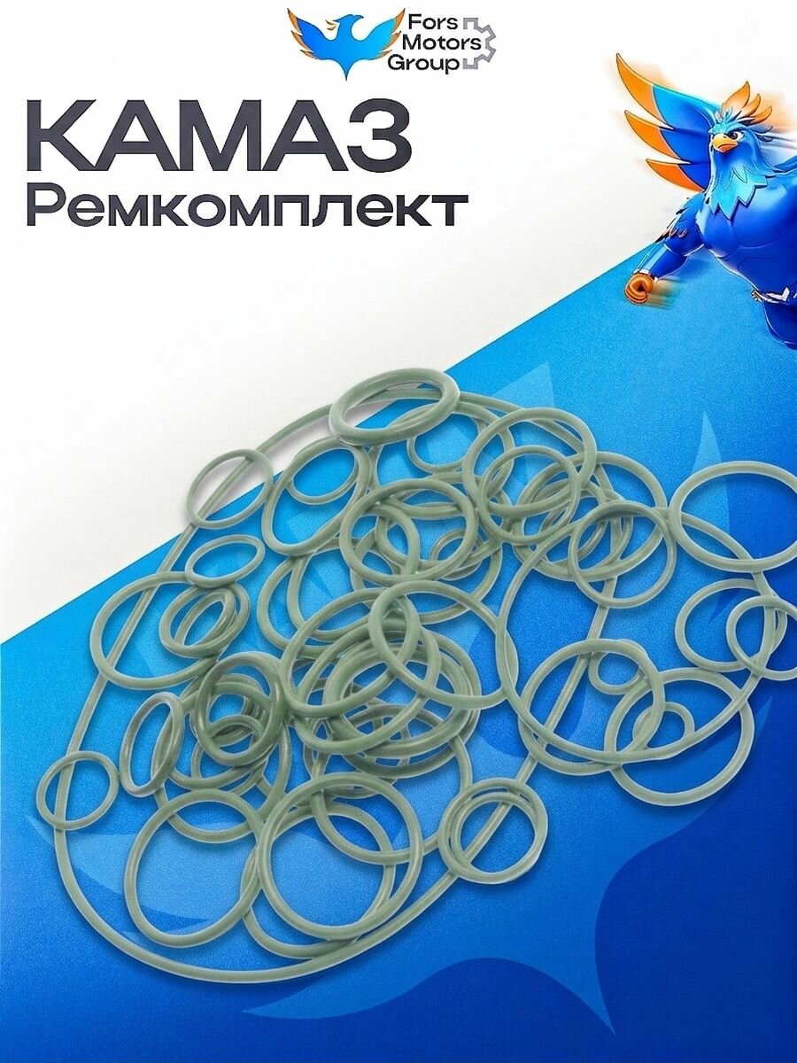 Ремкомплект Камаз колец на Тнвд(11 поз./59 дет.) Строймаш СТР 33-1111000, 33.1111000