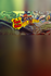 Sam & Max Hit the Road, Все страны