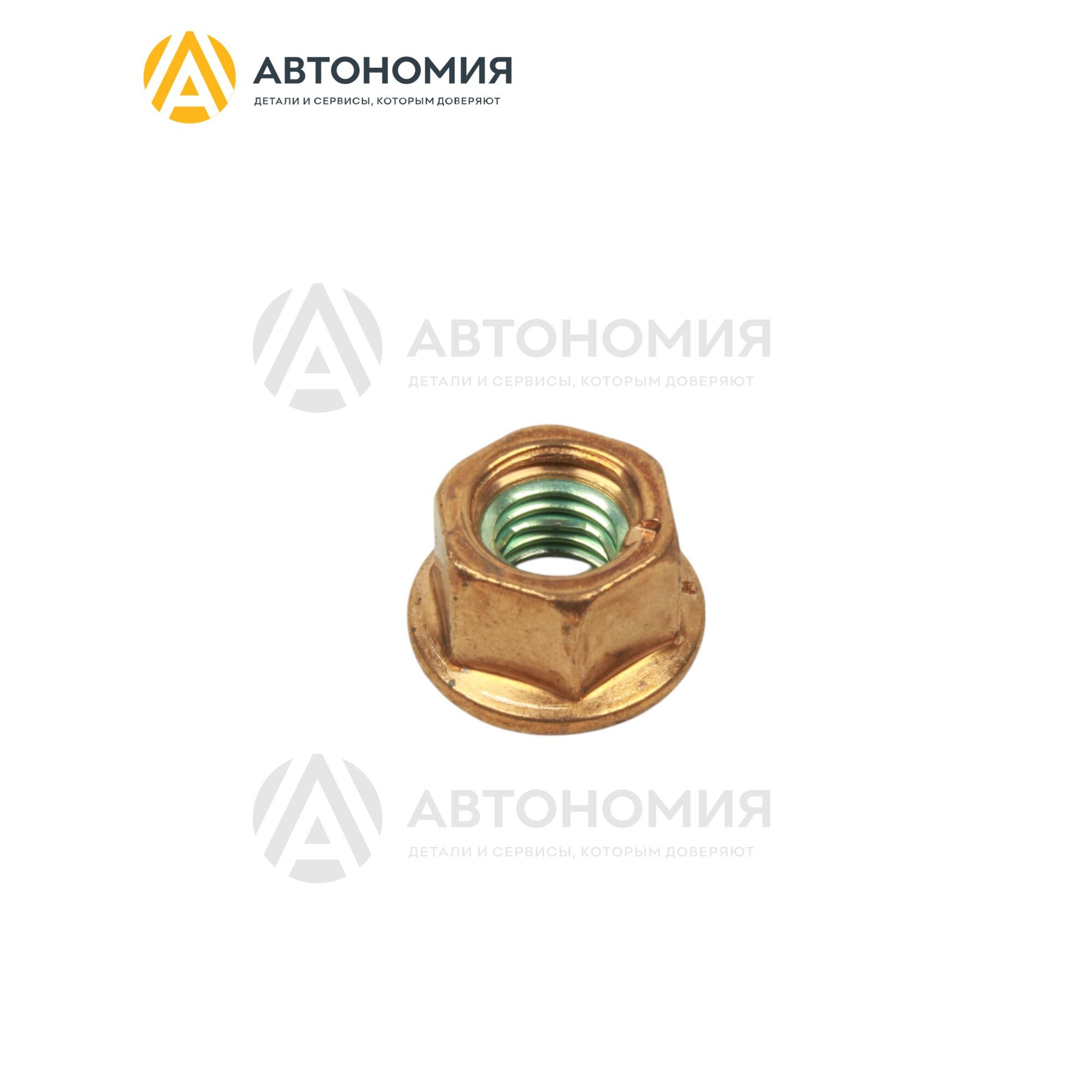 Гайка M8 General Motors 55558986