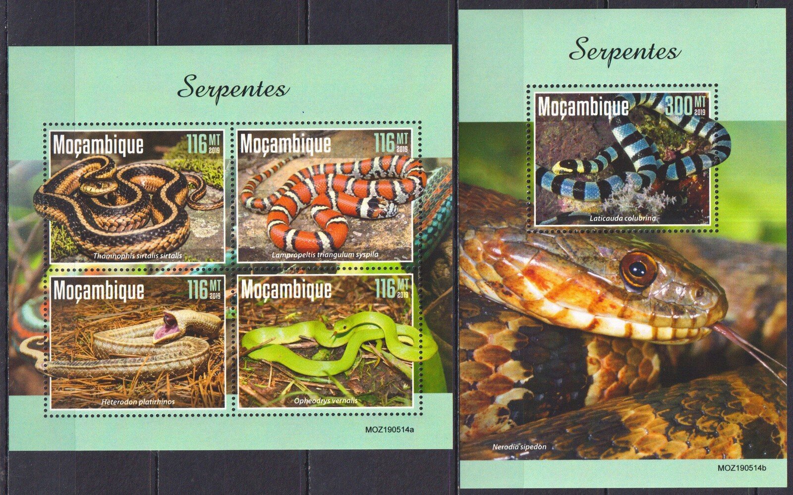 Марки 2019 год Мозамбик Змеи Рептилии Фауна #10596-599+Bl1555 Mnh