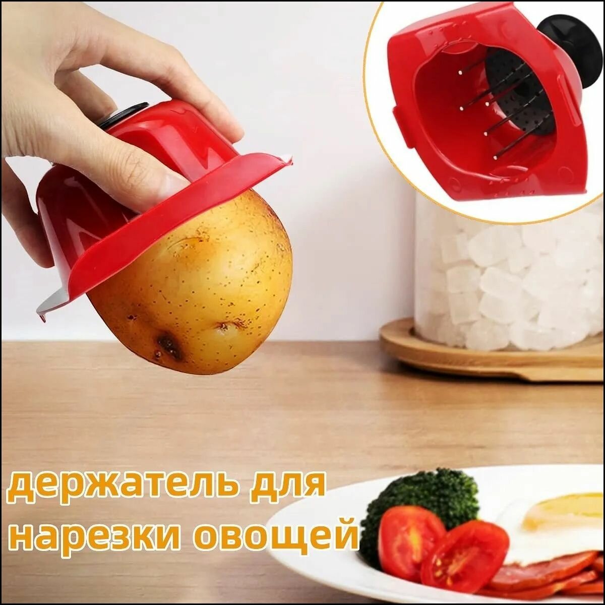 Плододержатель