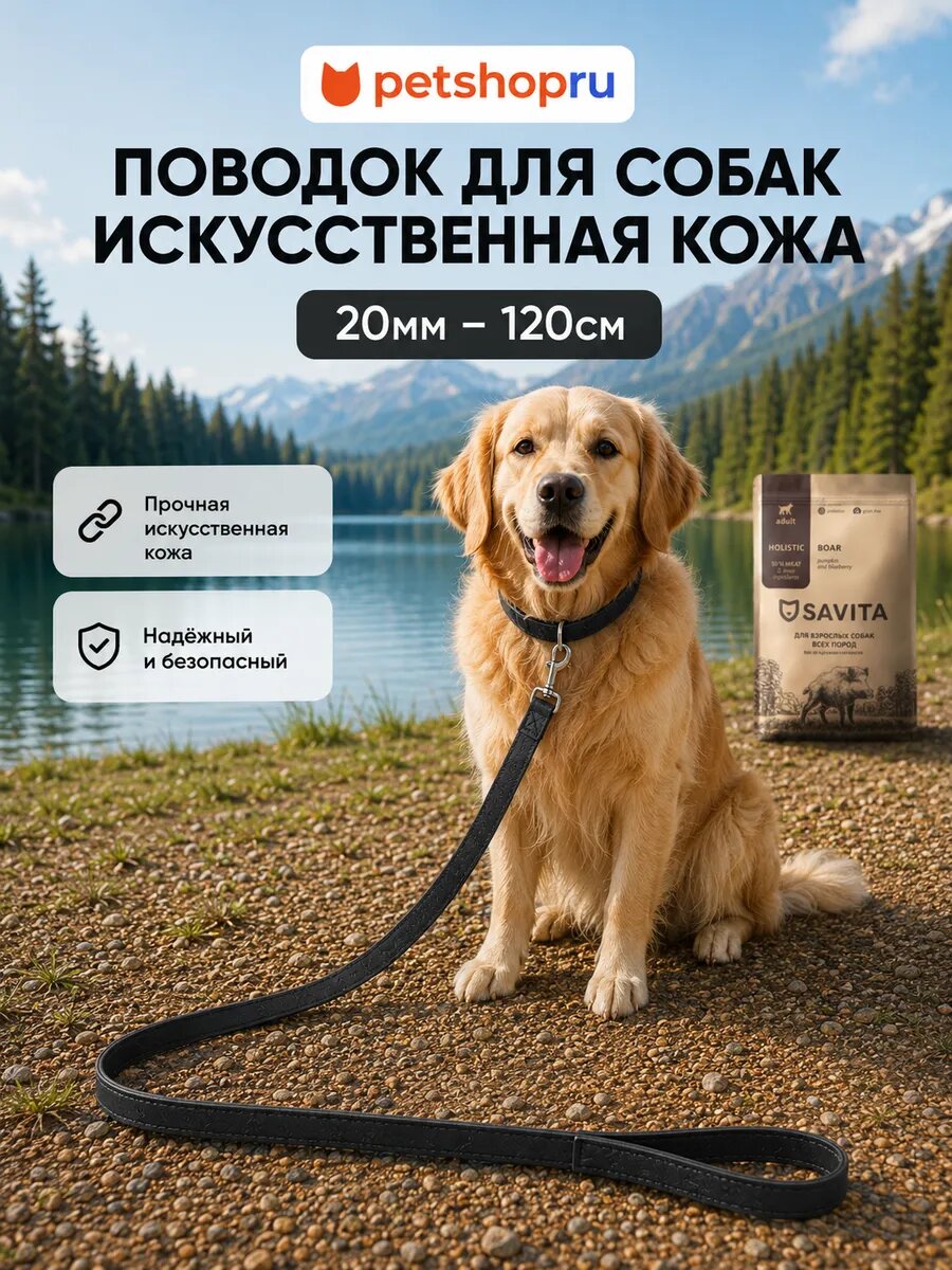 Papillion Поводок для собак искусственная кожа 20мм-120см, черный